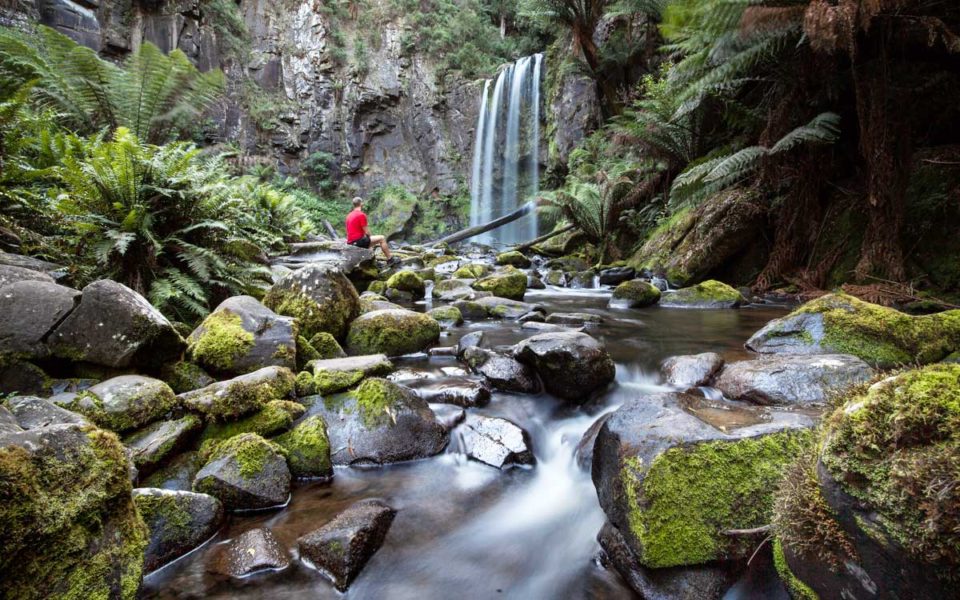 Great Otway National Park | Otways Hinterland Lakes & Forests