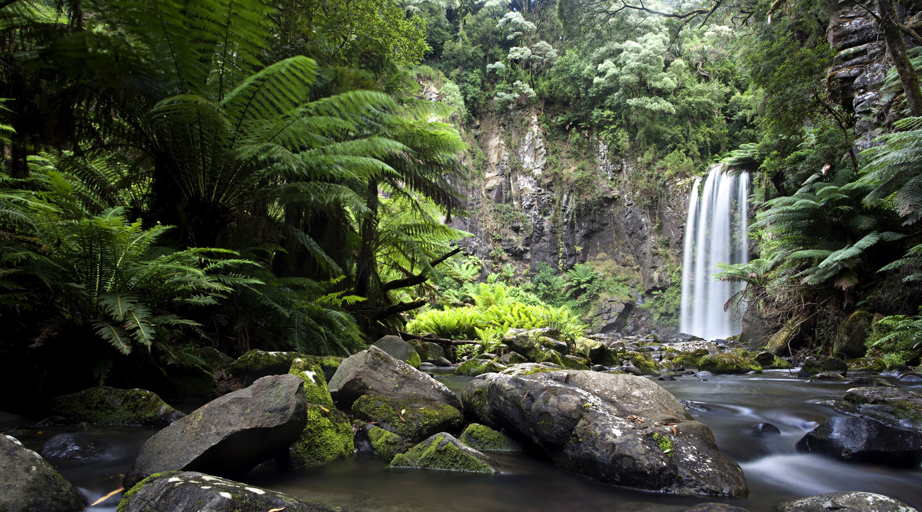 Great Otway National Park | Otways Hinterland Lakes & Forests