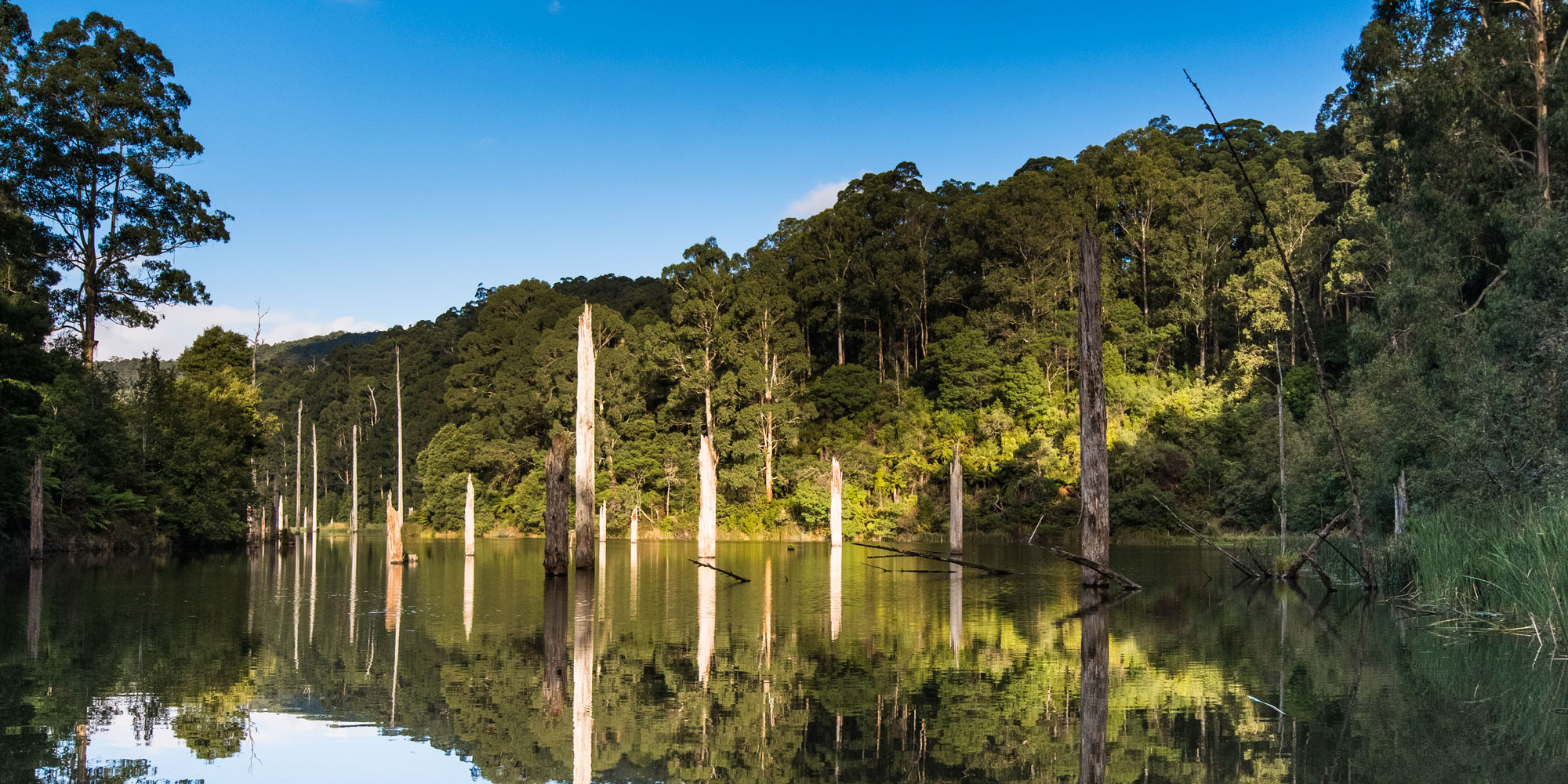 Around The Otways | Otways Hinterland Whats Around The Region