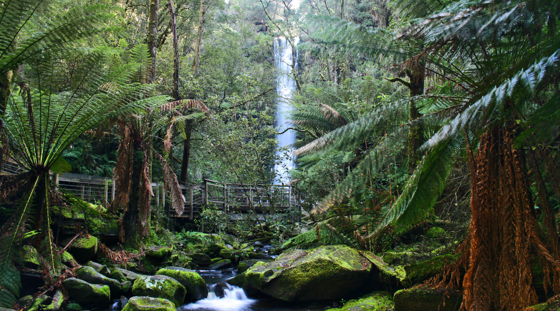 Erskine Falls | Otways Hinterland Waterfalls Attractions & Tours