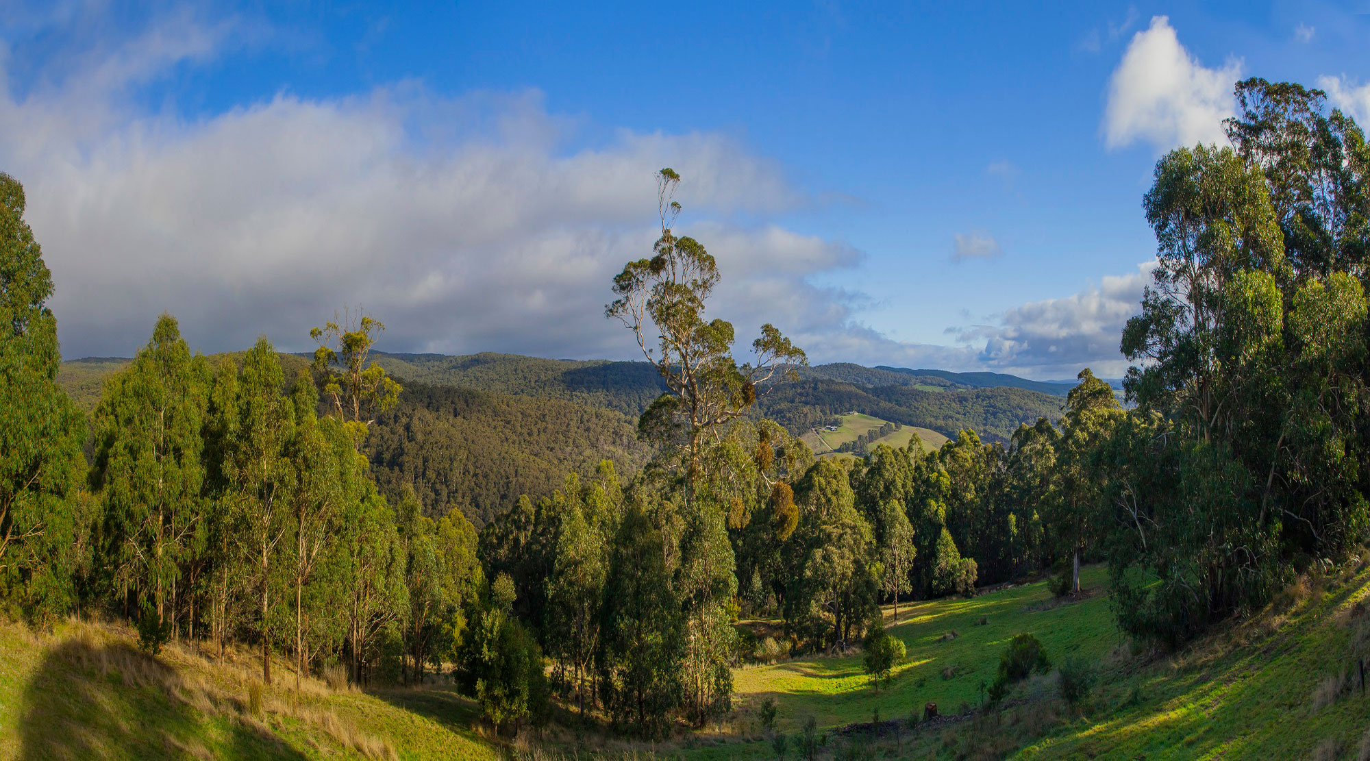 Otways Accommodation | Where to Stay Otways Hinterland Victoria