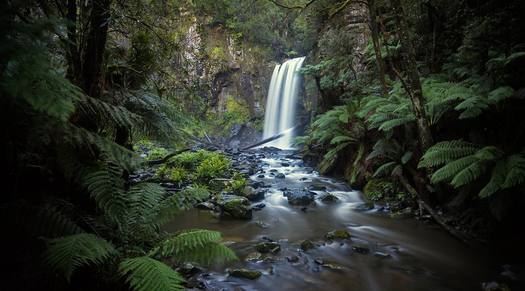 Otways Accommodation | Where to Stay Otways Hinterland Victoria