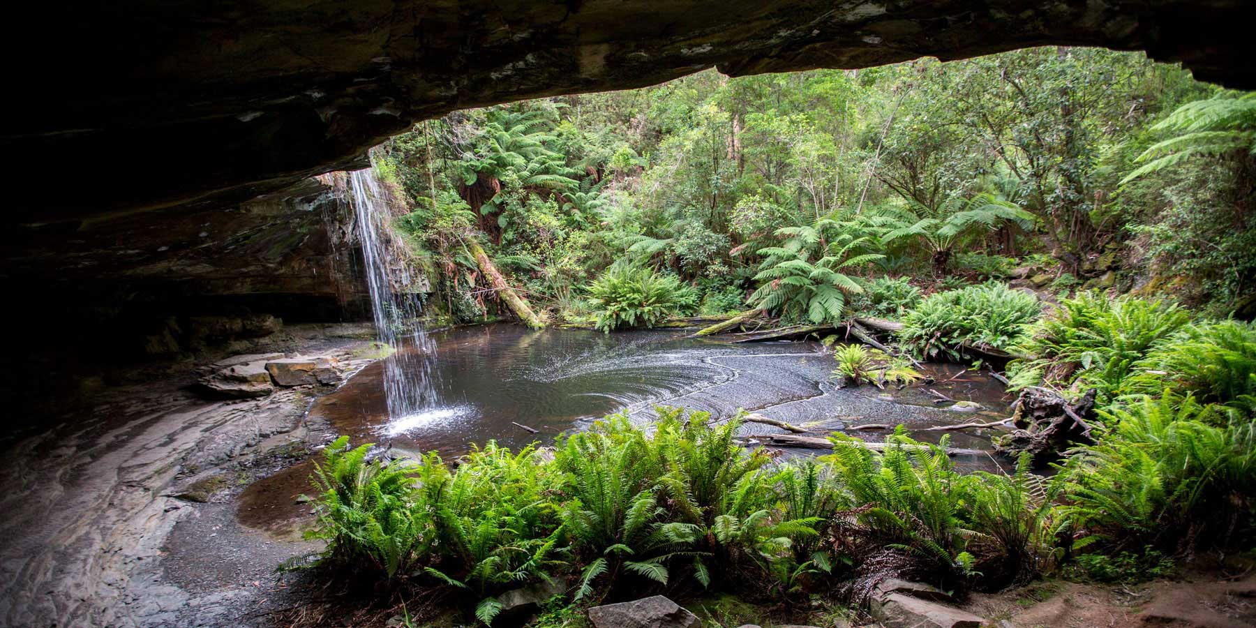 Attractions | Otways Hinterland Unique Spectacular Attractions