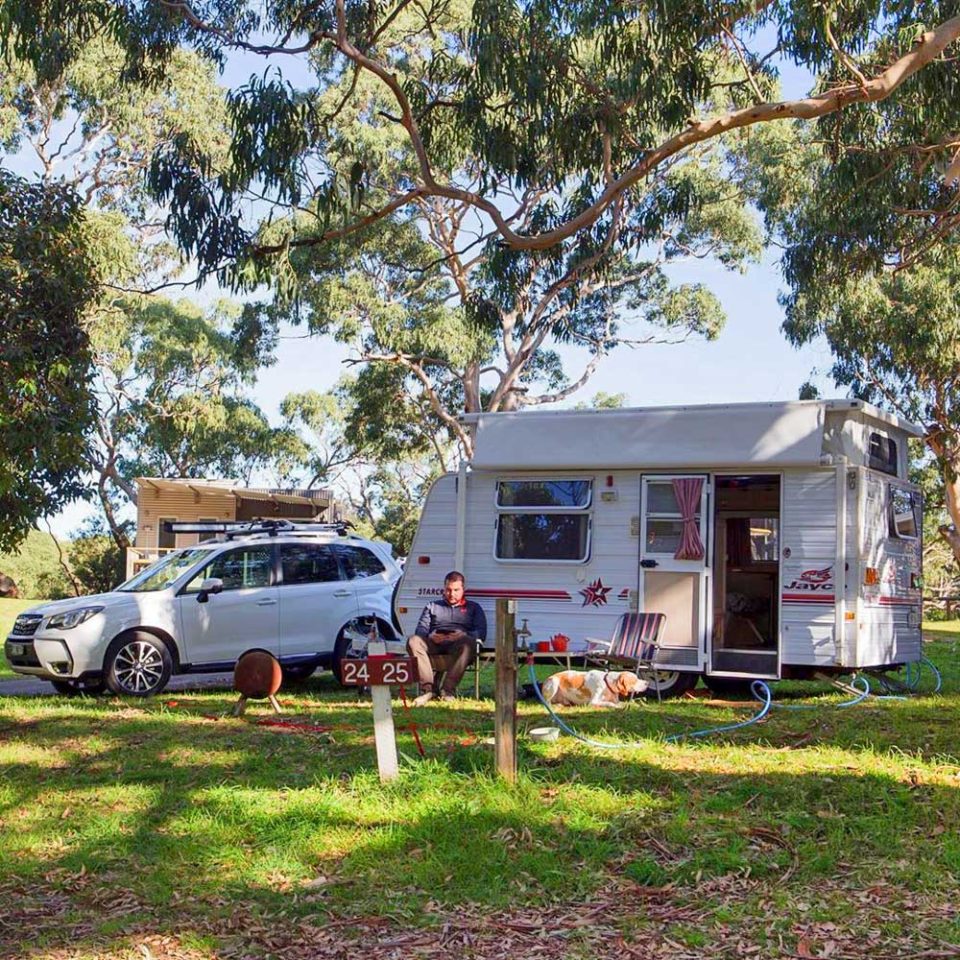 Bimbi Park | Otways Hinterland Camping Stays Under Koalas