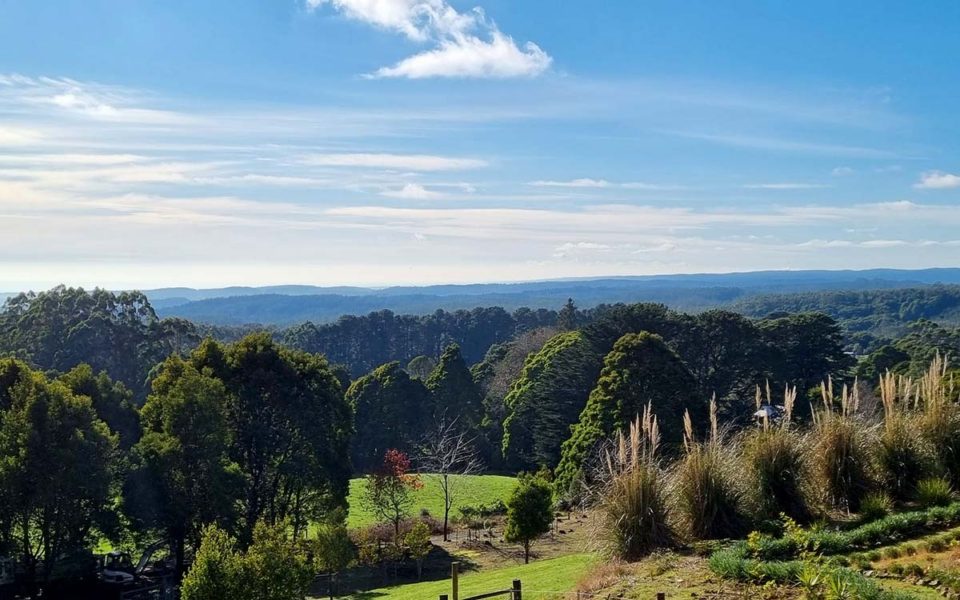Cozy Otways Accommodation | Otways Hinterland Cottage Stays