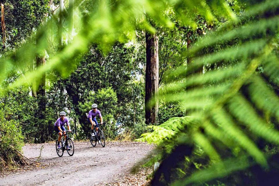 Forrest Holiday Park | Otways Hinterland Camping & Cabin Stays