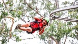 Live Wire Park | Otways Hinterland Adventure Park Lorne