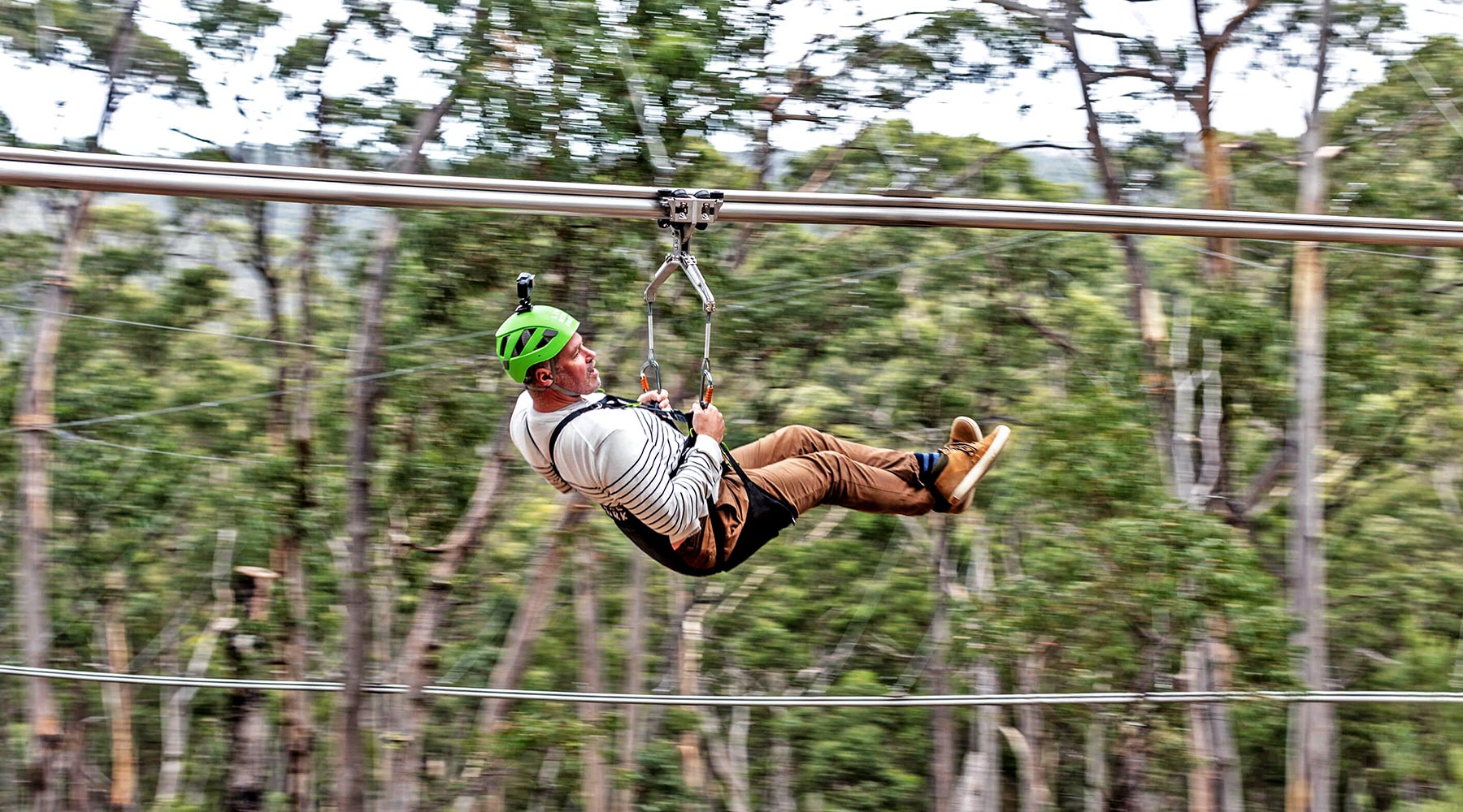 Live Wire Park | Otways Hinterland Adventure Park Lorne