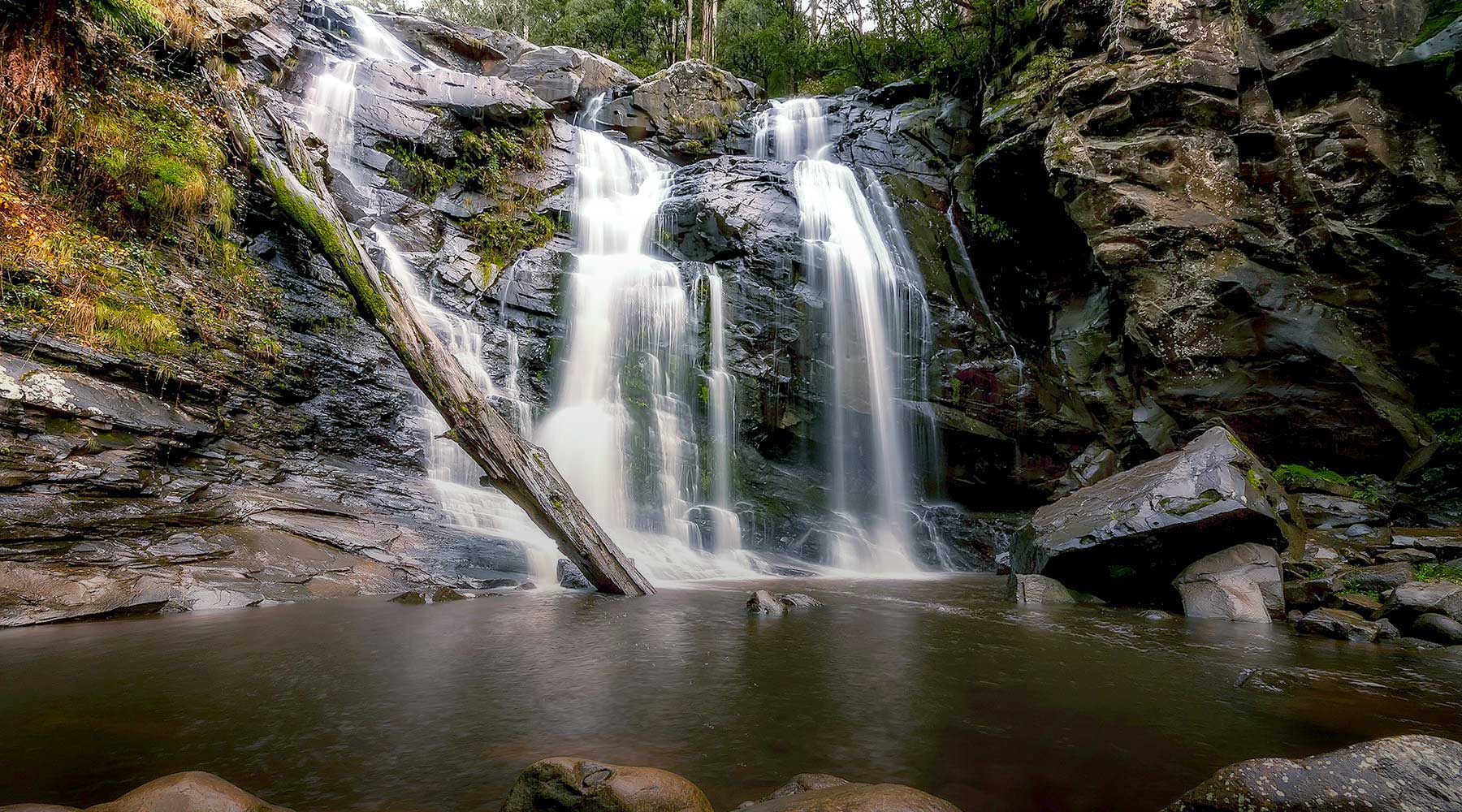 Accommodation in the Otways Ranges Victoria | Otways Hinterland