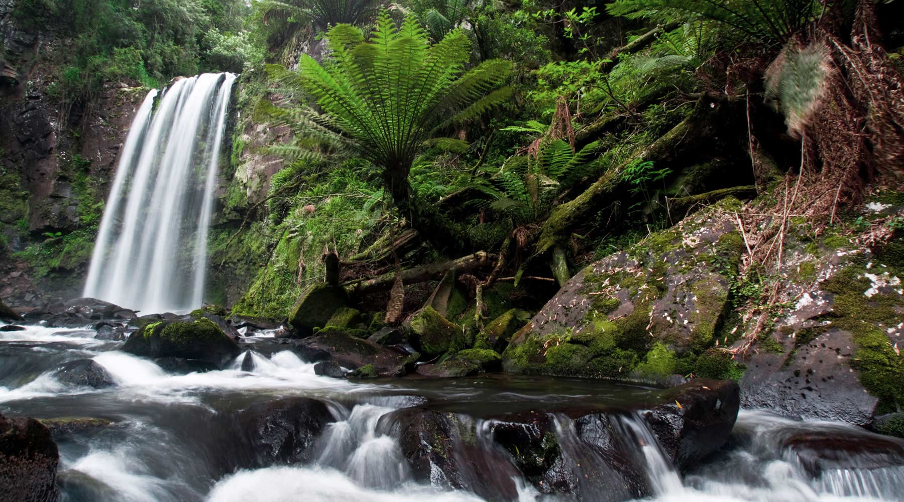 Accommodation in the Otways Ranges Victoria | Otways Hinterland